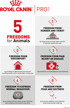 Terms & Conditions - ROYAL CANIN® Professionals